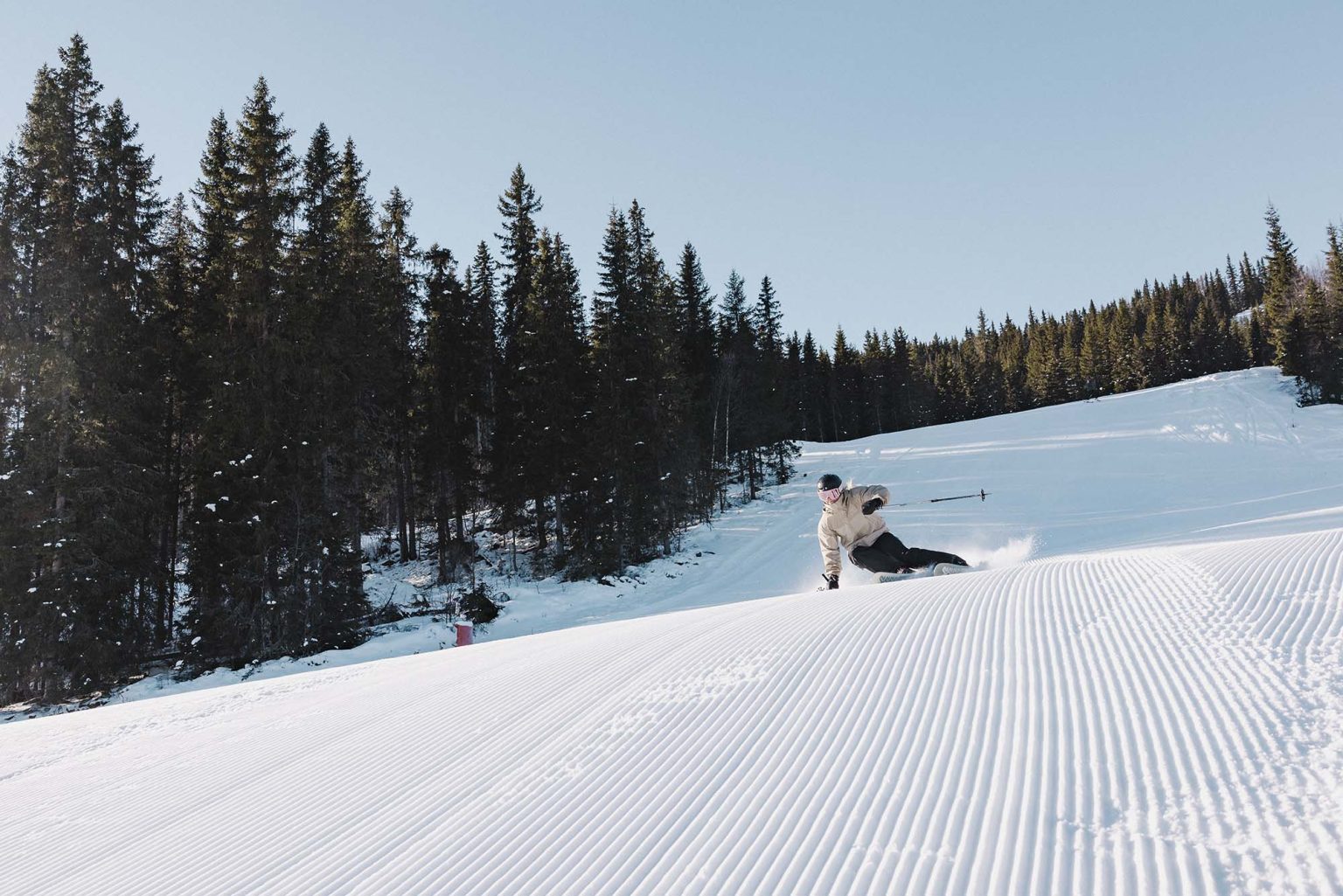 Drøm stort og studer nært! - Campus Hallingdal